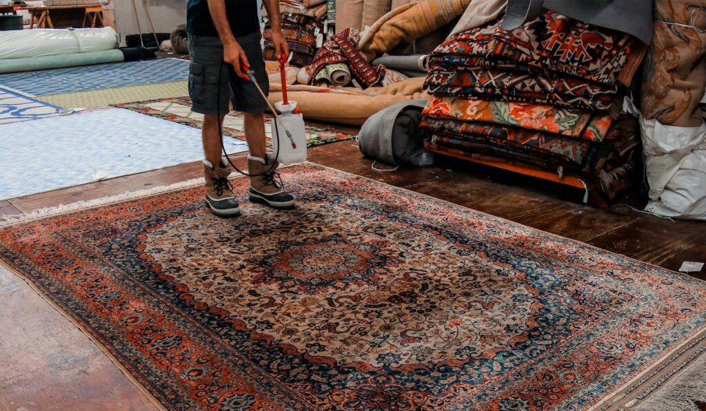 Professional Rug Mothproofing Service | Rug Moth Treatment