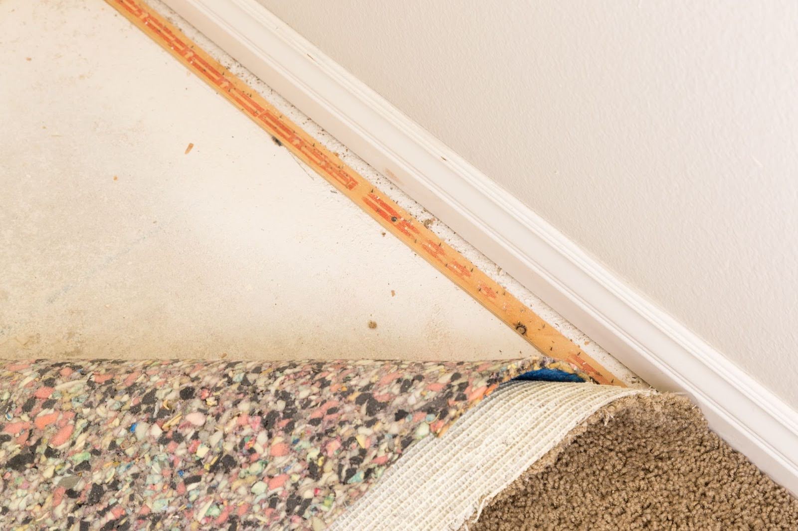 Dry Wet Carpet: Stop Carpet Water Damage, Rug Water Damage